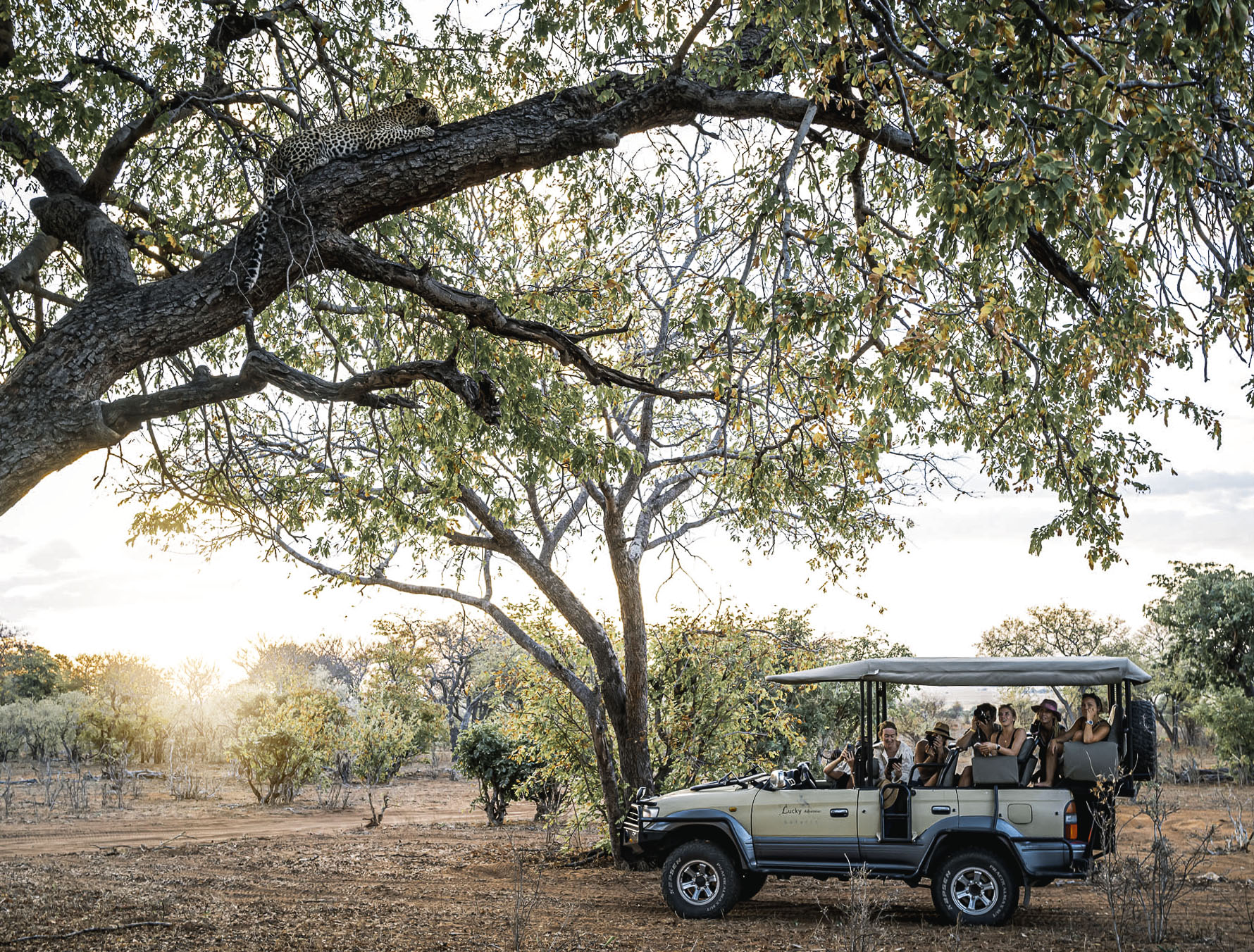 African Safari Yoga Retreat - Lauren Rudick